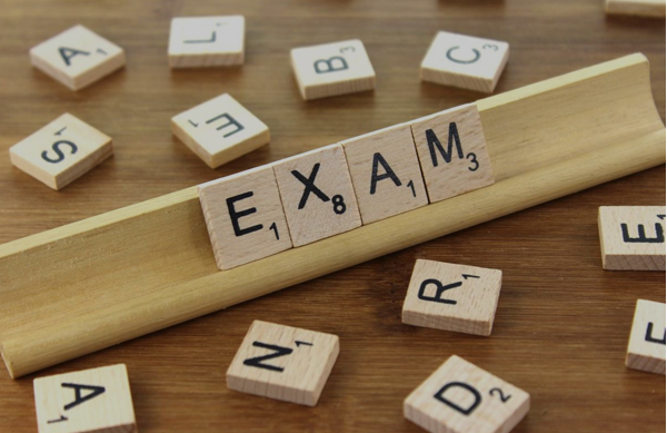 Year 11 GCSE revision and support | Ark Acton